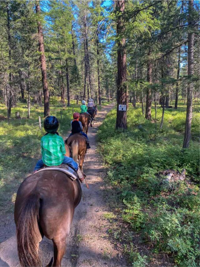 All-Inclusive Family Vacation At A Canadian Dude Ranch: Three Bars ...