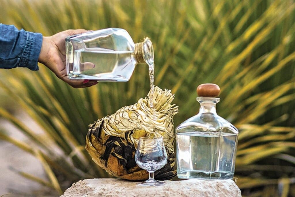 What is Sotol and How is it Compared to Mezcal? » Savoteur
