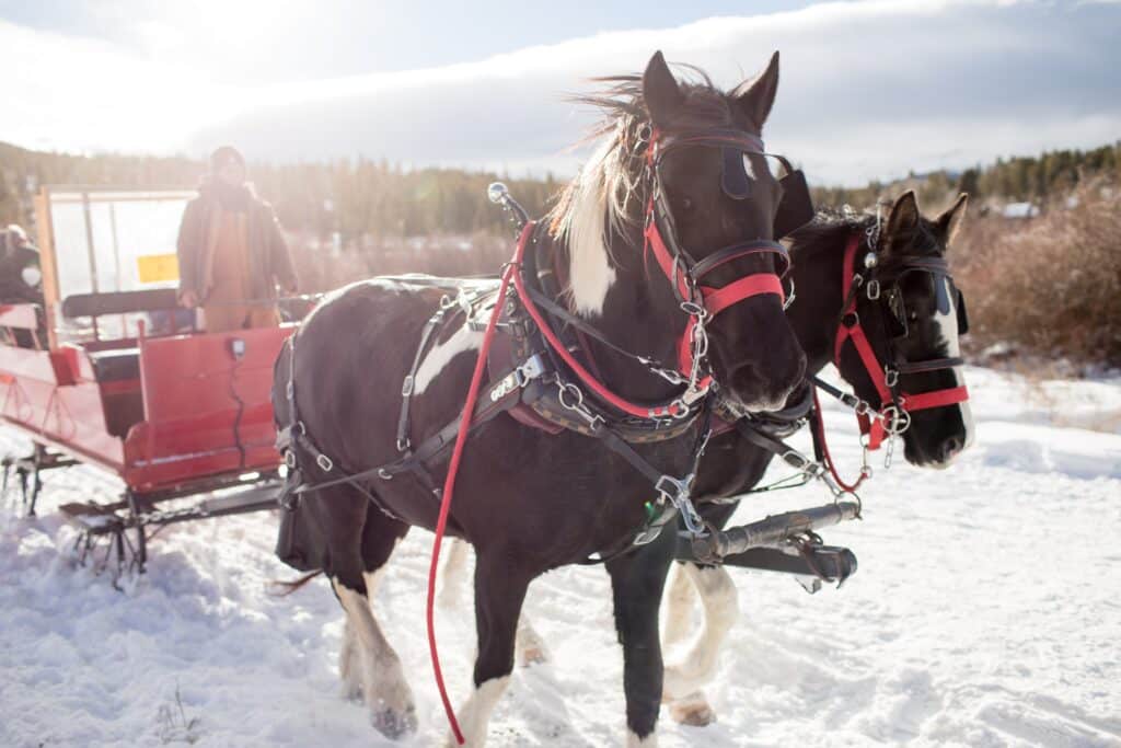 25 Winter Adventures and Trips for the Whole Family » Savoteur