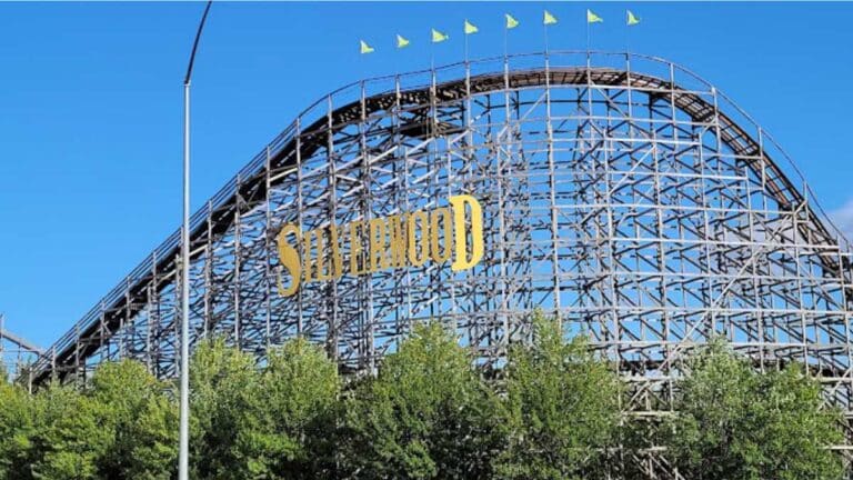The Most Iconic Amusement Park in Every State » Savoteur