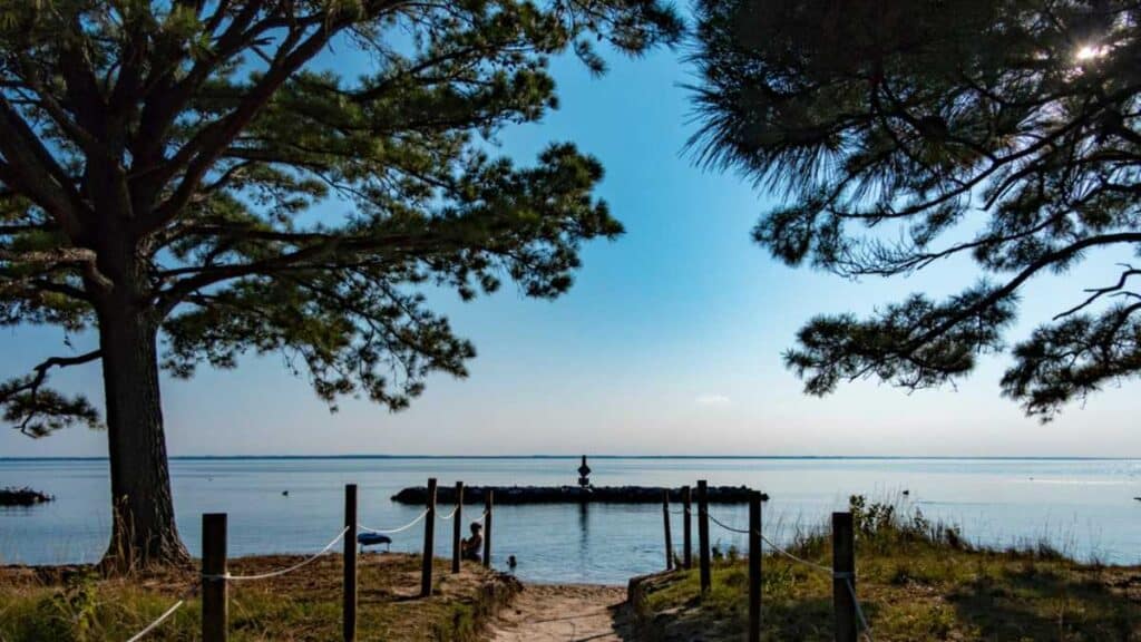23 Best Beaches in Maryland You Have To Check Out » Savoteur