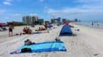 Sand Key Park: The Ultimate Less Touristy Getaway in Clearwater » Savoteur