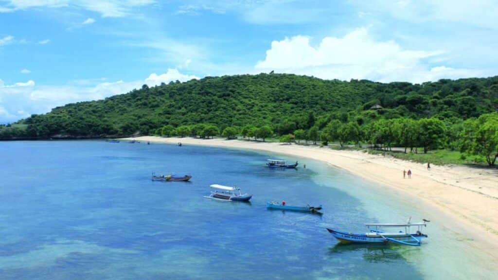 Pretty in Pink: 14 Beautiful Pink Sand Beaches to Visit This Year ...